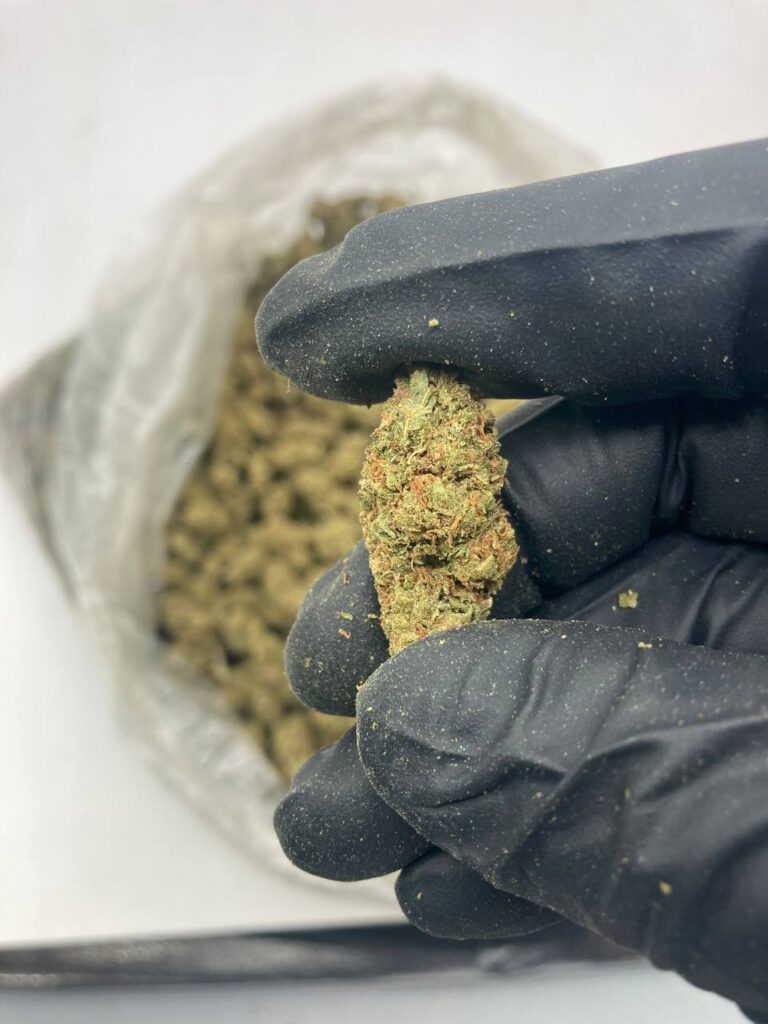 Orange Fanta Weed - Disposable Brand